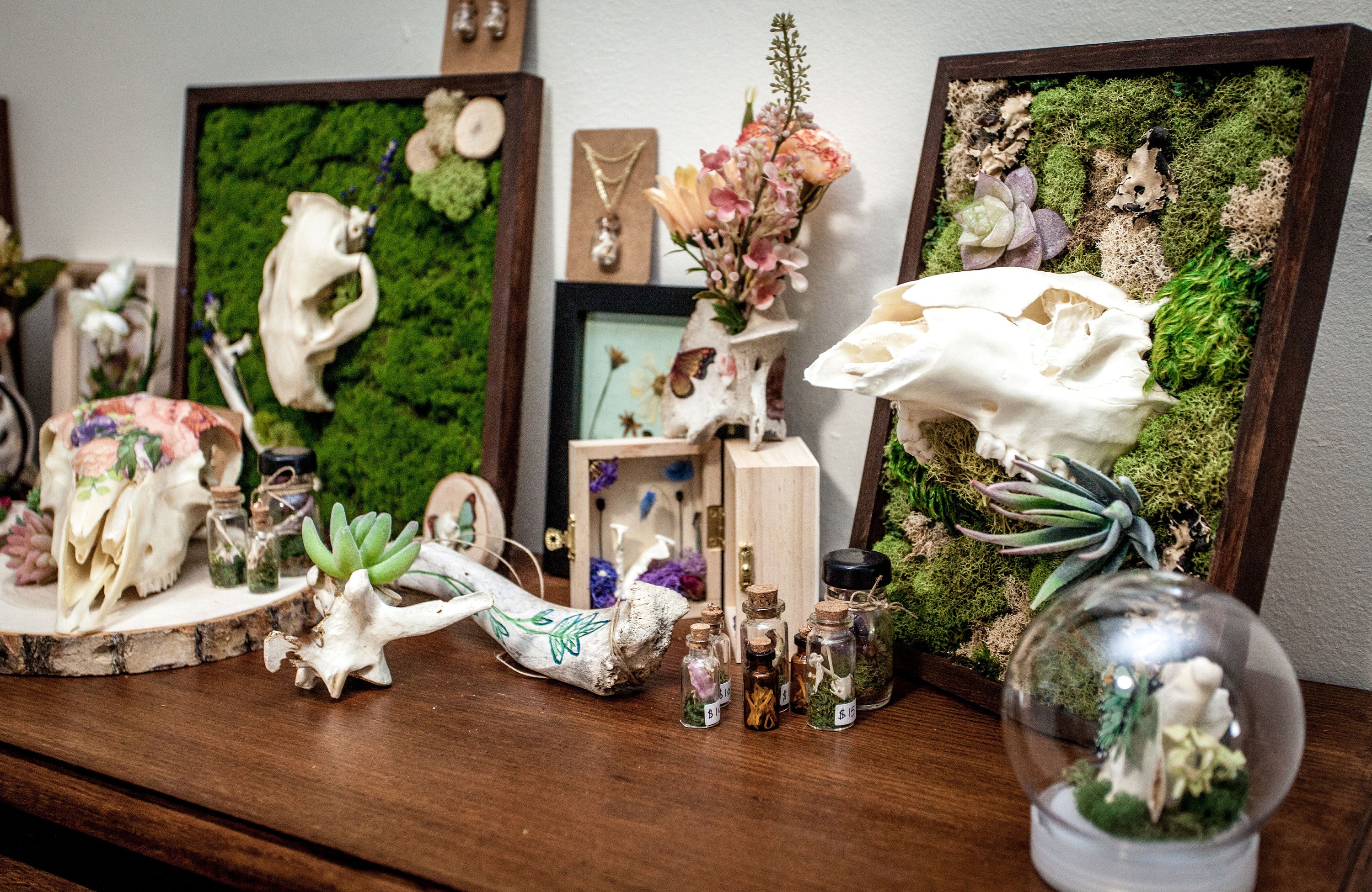 Moss Garden Deer Skull Succulent Garden Real Skull Animal Skull Fake ...