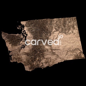 Modelo 3D del terreno topográfico del estado de Washington Modelo de ...