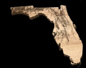 Topographic Map 3d Florida - Etsy