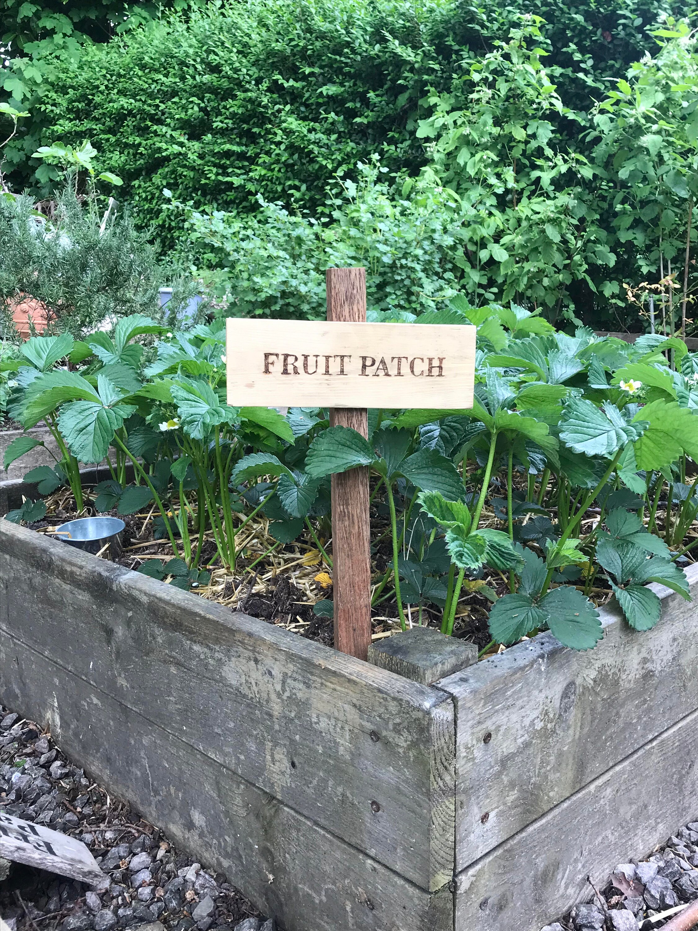 Wooden ‘veg Patch’ Garden Sign Hand Made Rustic Reclaimed Pyrography ...