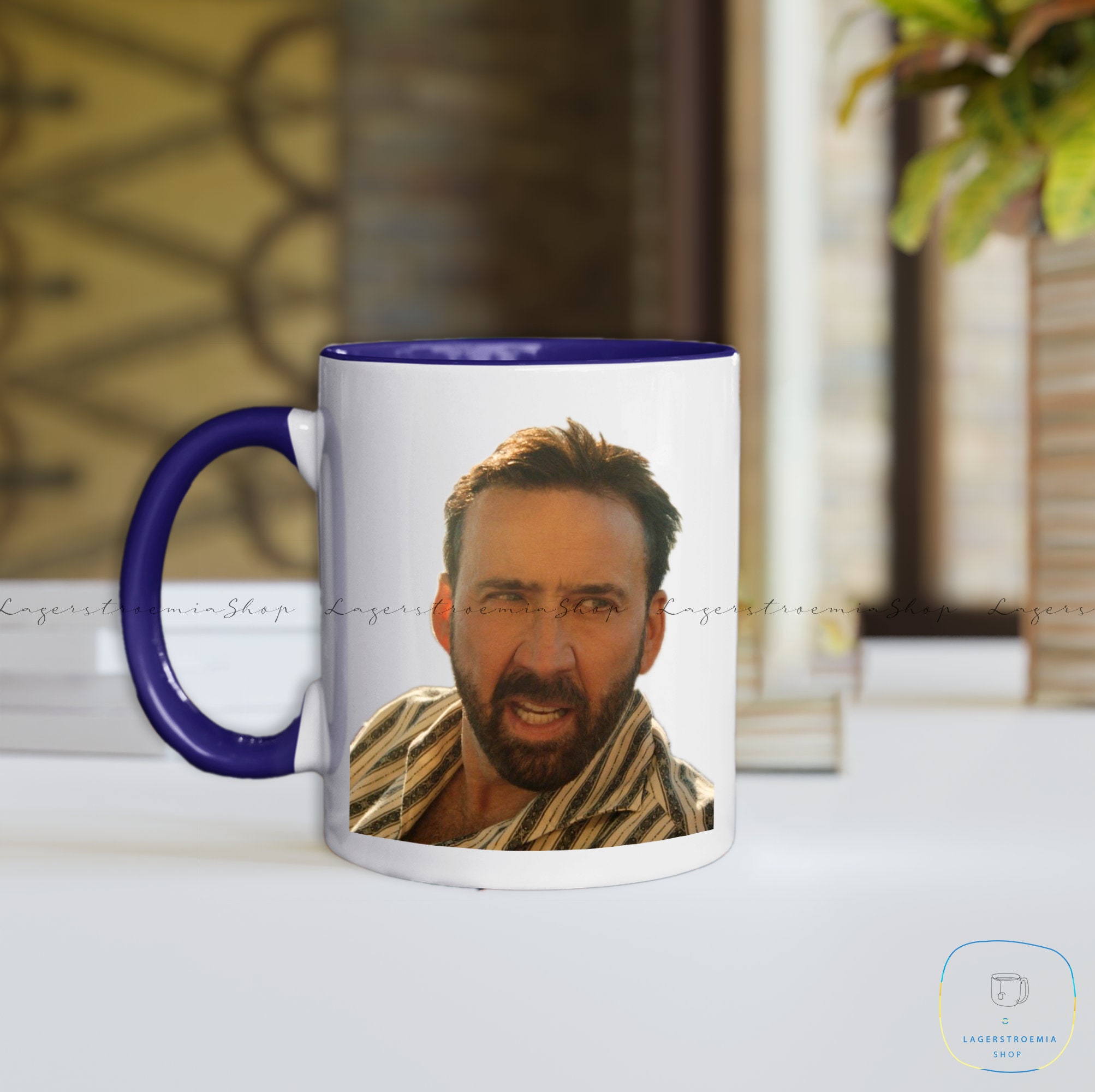 Nick Cage and Pedro Pascal Meme Mug Ceramic, Changing Mug 11oz 15oz ...