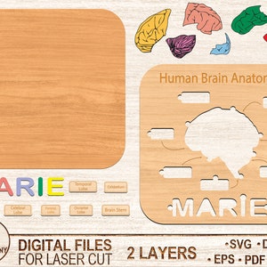 Human Brain Anatomy Puzzle Laser Cut File,svg,dxf,kids Laser Svg Design ...