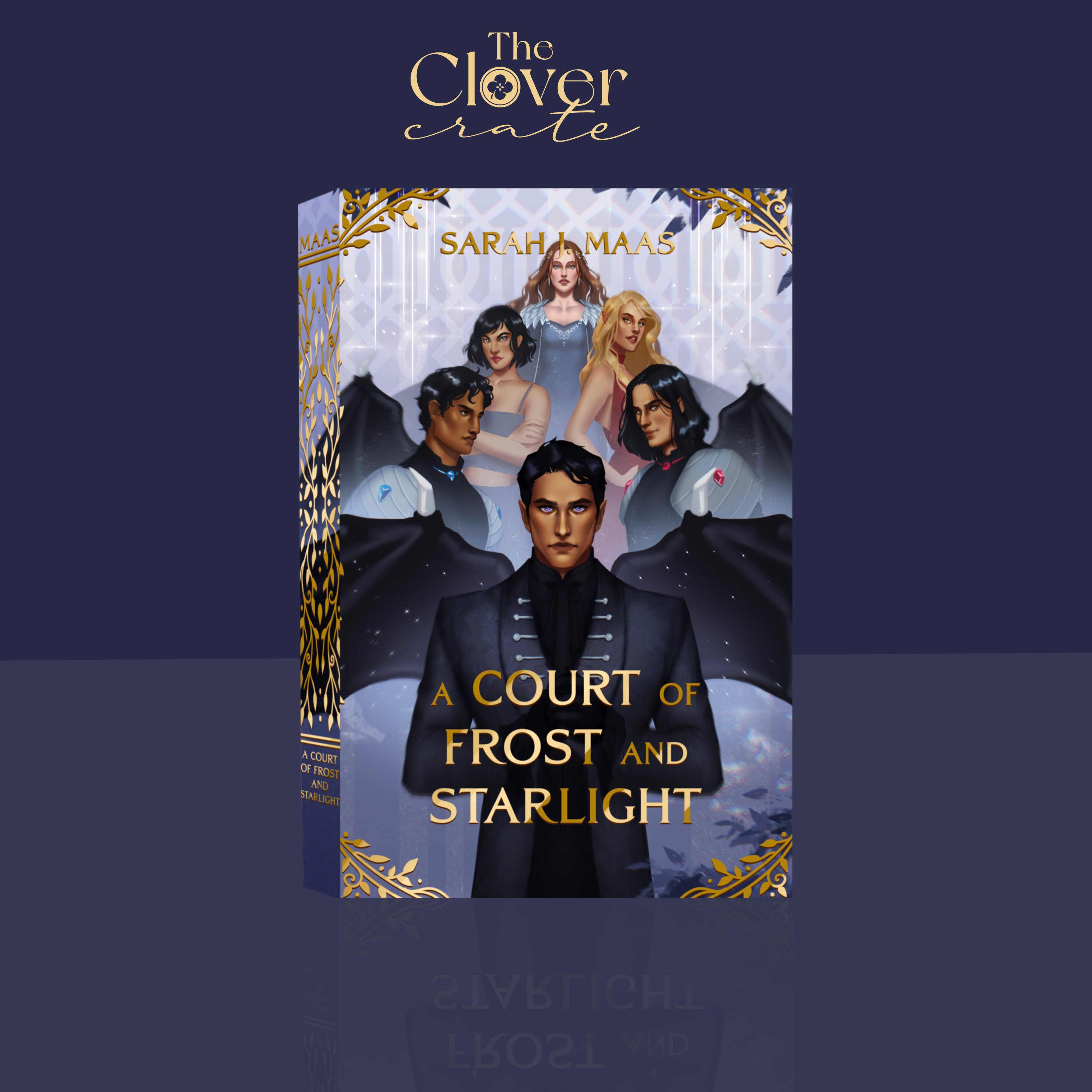 ACOTAR Dust Jackets Set OFFICIALLY LICENSED Sarah J. Maas - Etsy Australia