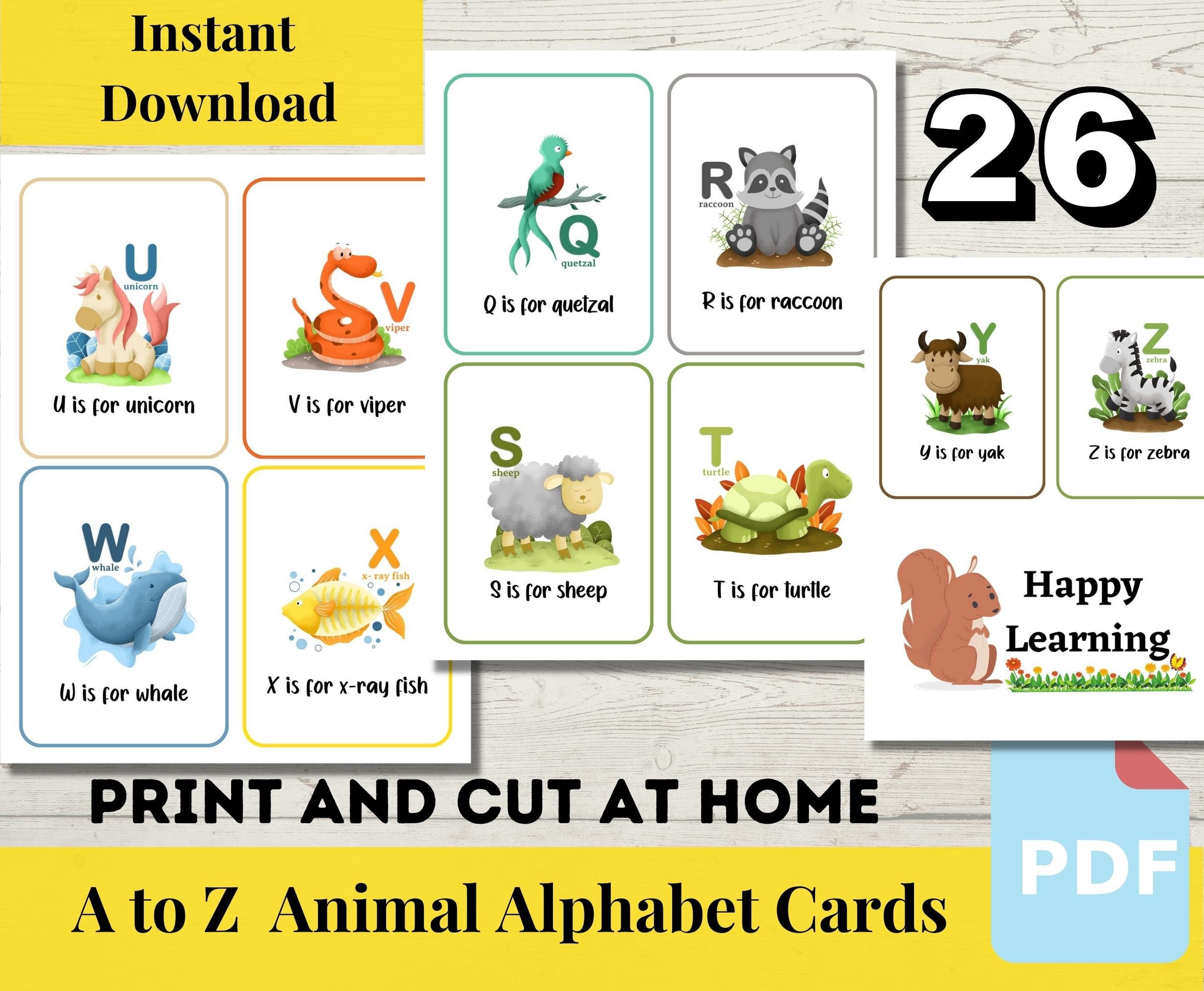 Educational A to Z Animal Alphabet Bundle ,fruit Numbers 1-10,preschool ...