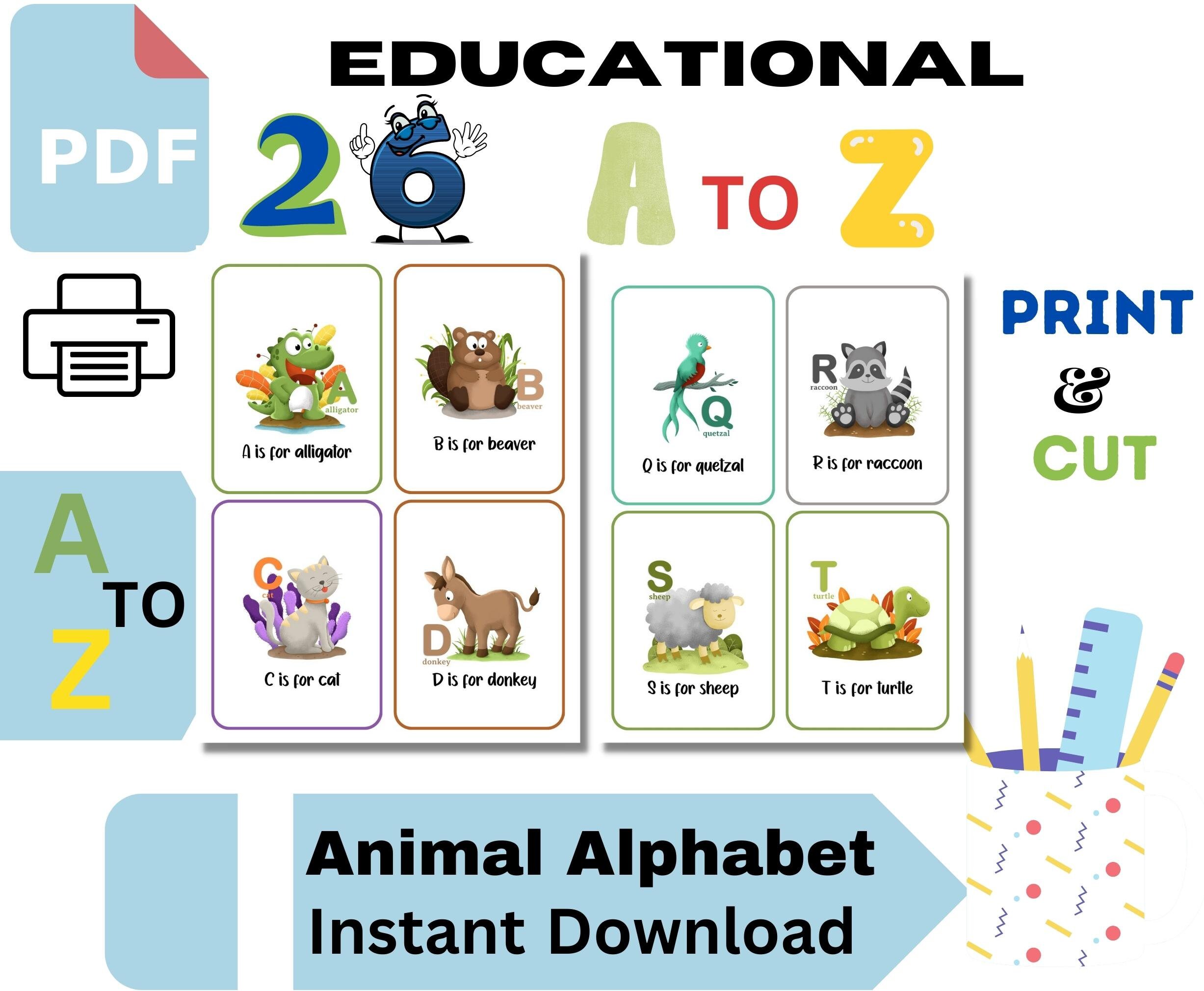 Educational A to Z Animal Alphabet Bundle ,fruit Numbers 1-10,preschool ...