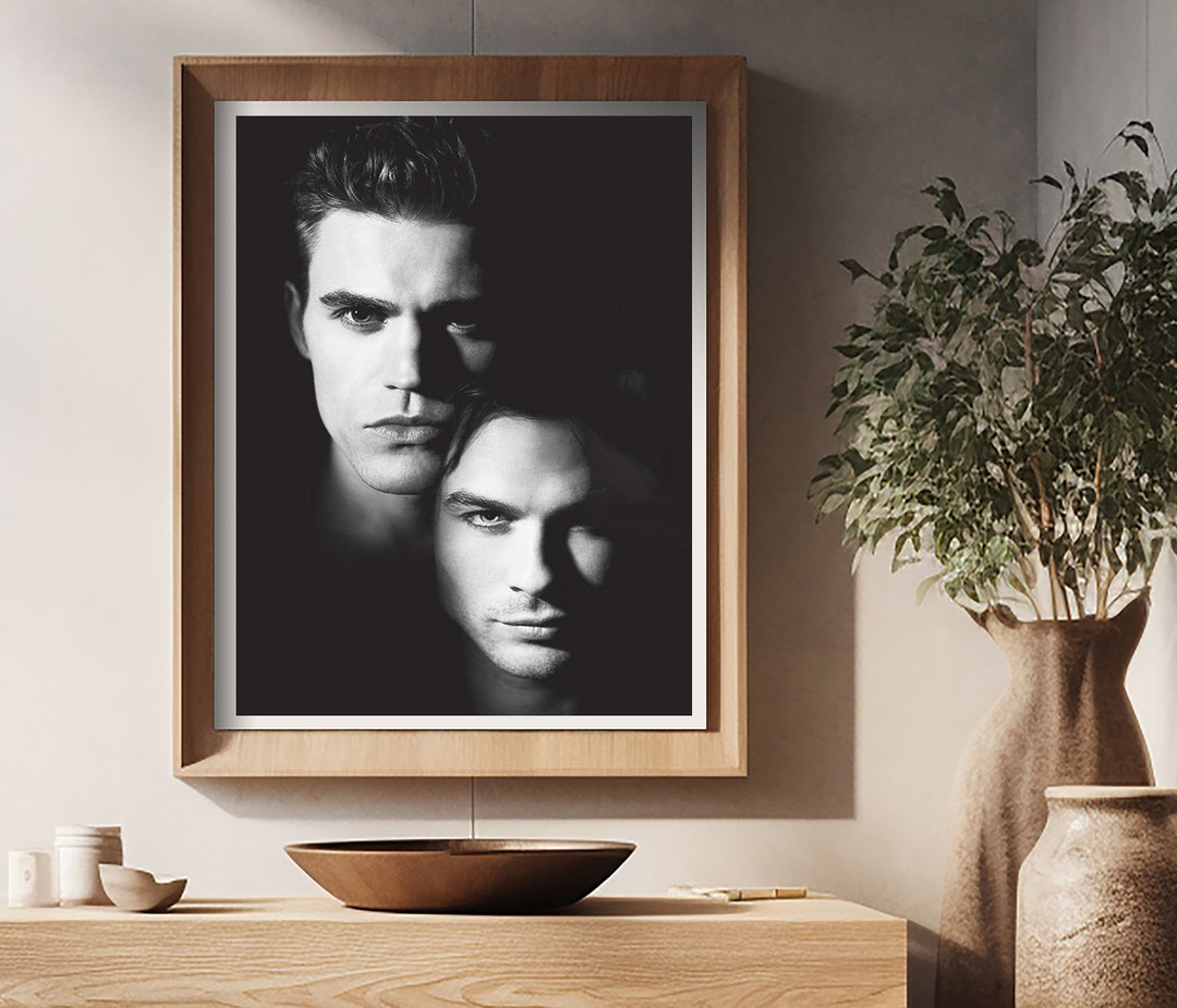 Vampire Diaries Stefan and Damon Salvatore Wall Art Poster - Etsy