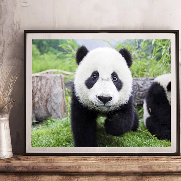 Panda Poster - Etsy UK