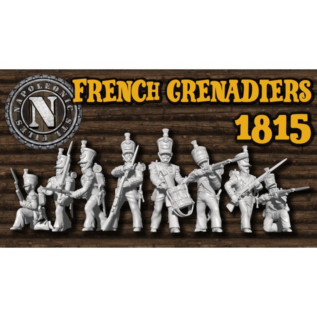 French Grenadiers 3D Printed Model Figures - Napoleonic Era - Etsy