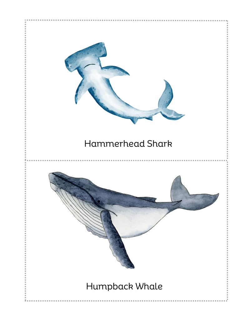 Shark Scavenger Hunt, Whale Scavenger Hunt, Printable Game, Treasure ...