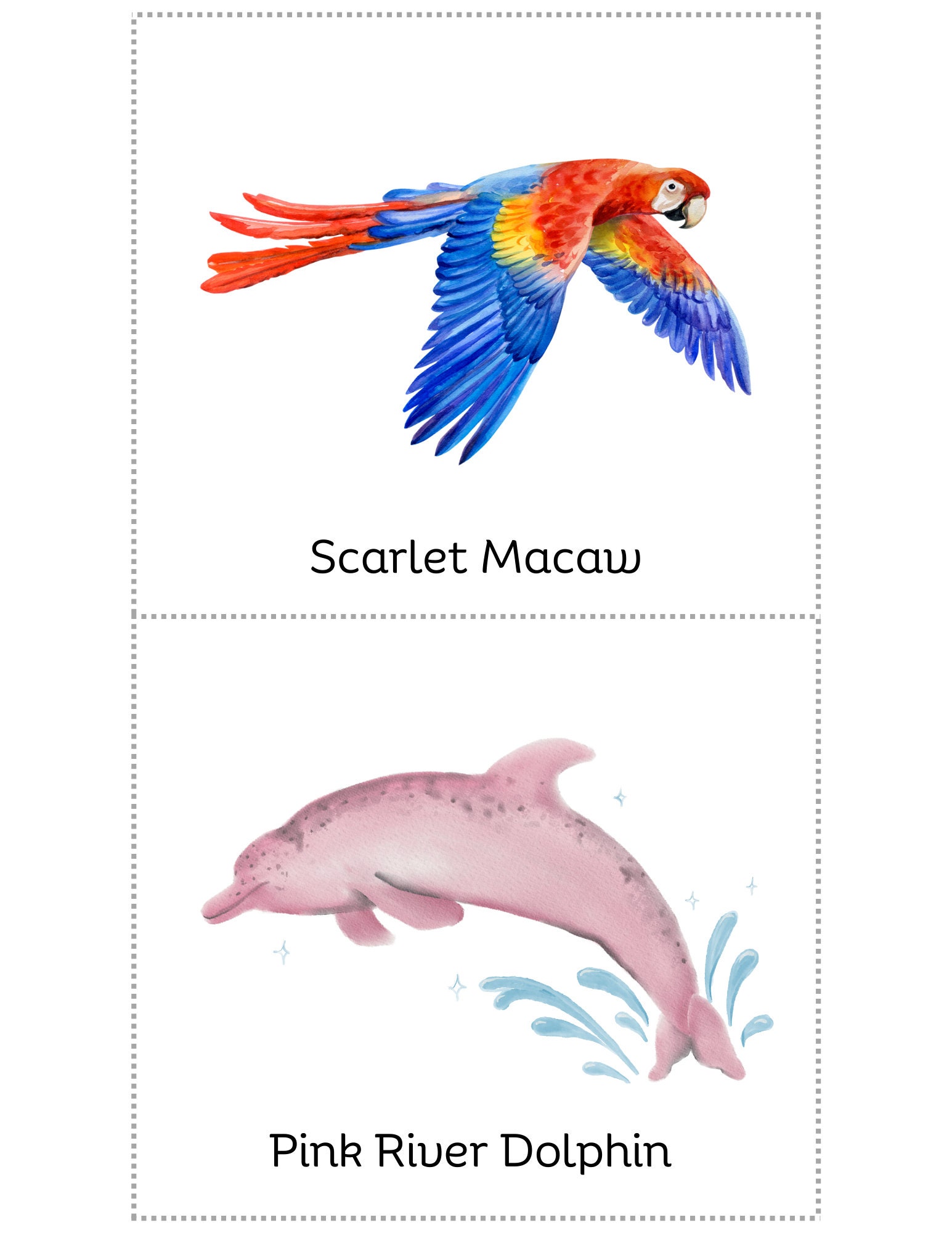 Jungle Scavenger Hunt Adventure for Kids, Printable Game, Digital ...