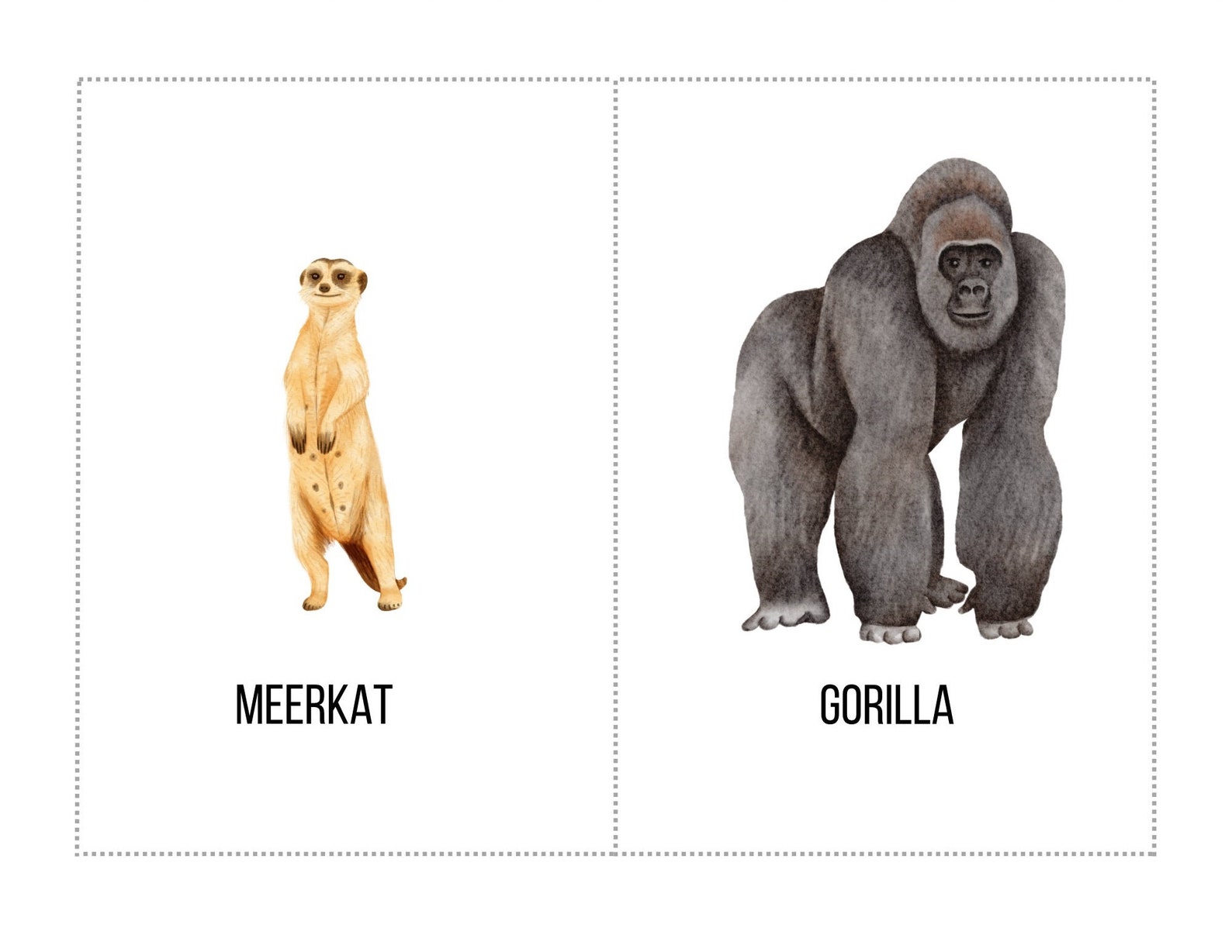 African Safari Scavenger Hunt, Birthday Game, Classroom Activity ...