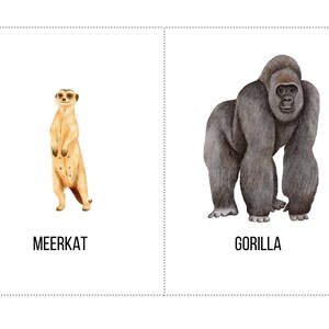 African Safari Scavenger Hunt, Birthday Game, Classroom Activity ...