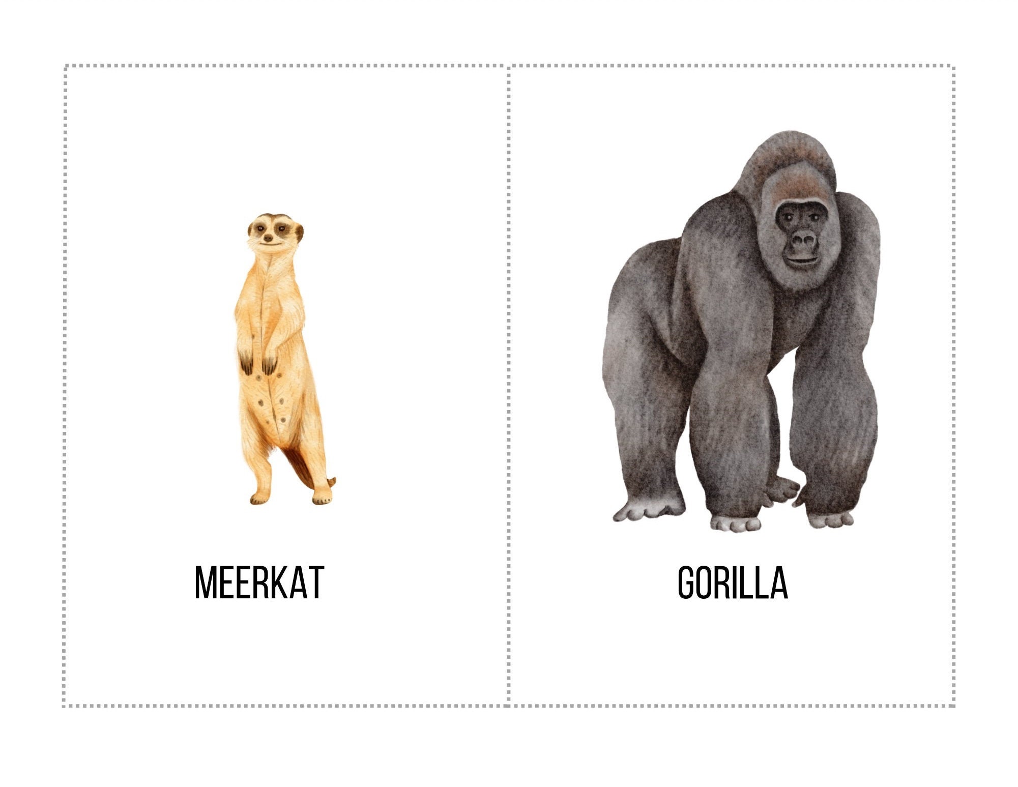 African Safari Scavenger Hunt, Birthday Game, Classroom Activity ...