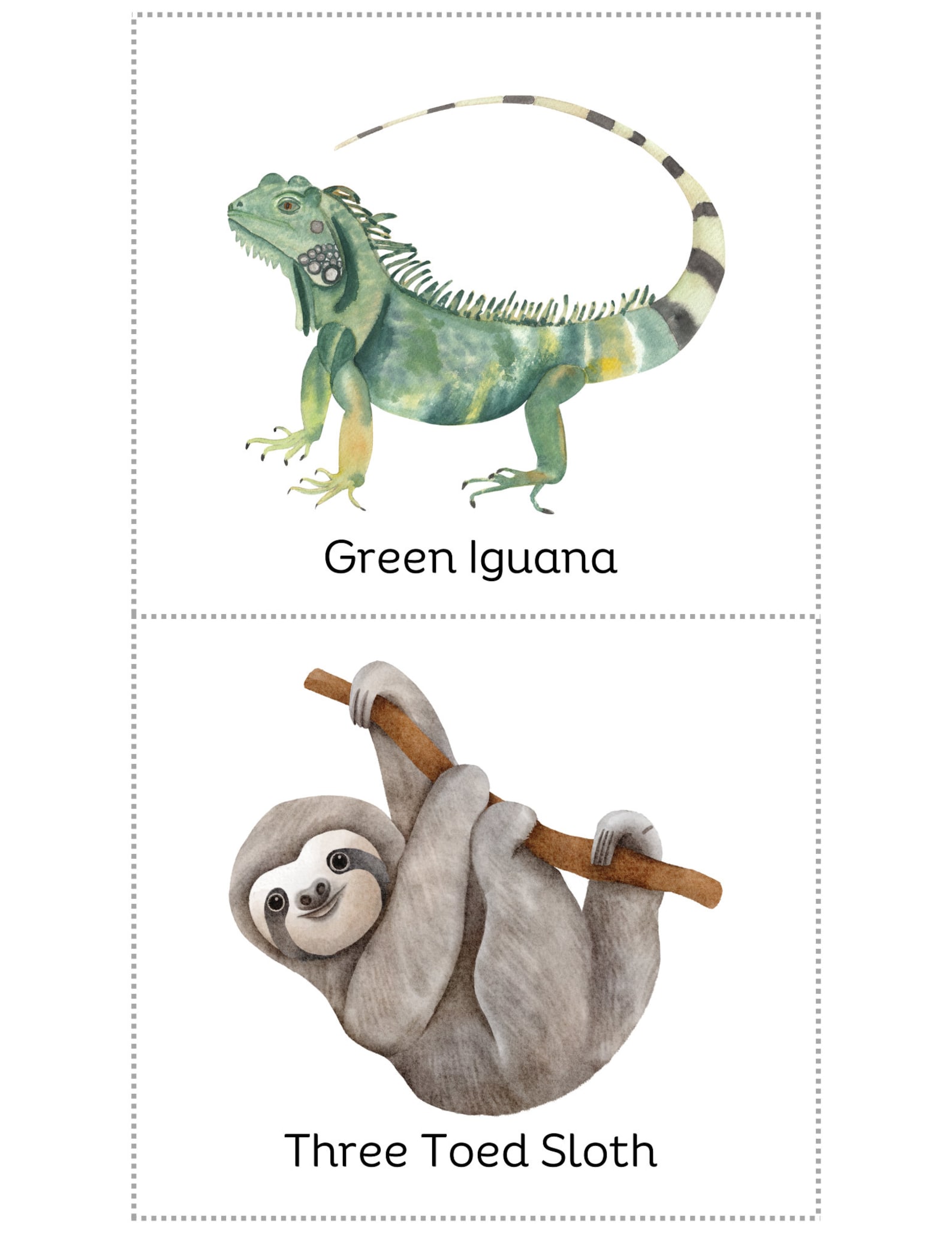 Jungle Scavenger Hunt Adventure for Kids, Printable Game, Digital ...