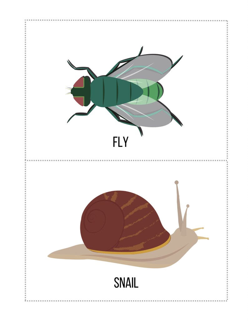 Insect Scavenger Hunt, Printable Game, Treasure Hunt, Digital Download ...