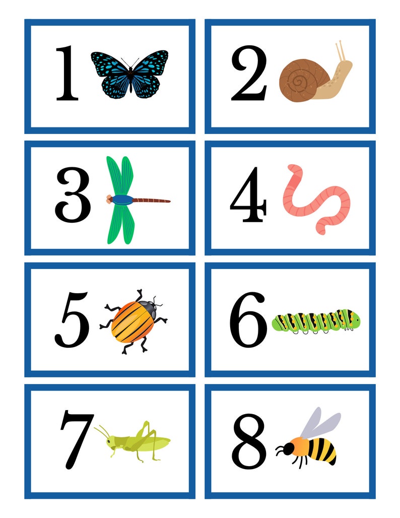Printable Insect Counting Activity Bug Catching Game Digital - Etsy