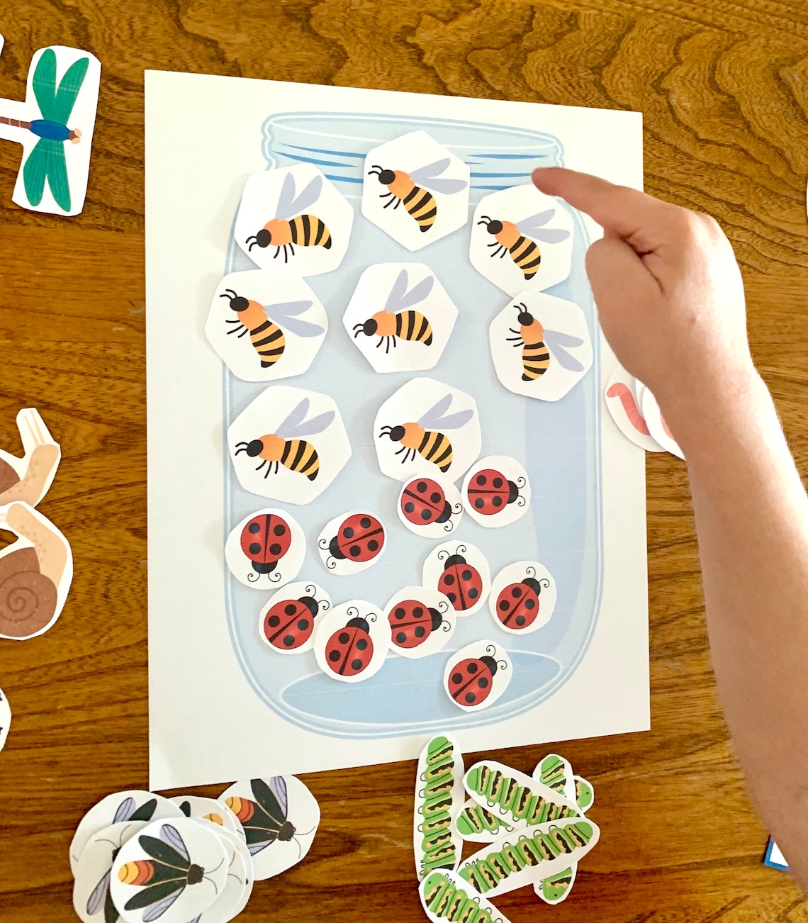 Printable Insect Counting Activity, Bug Catching Game, Digital Download ...