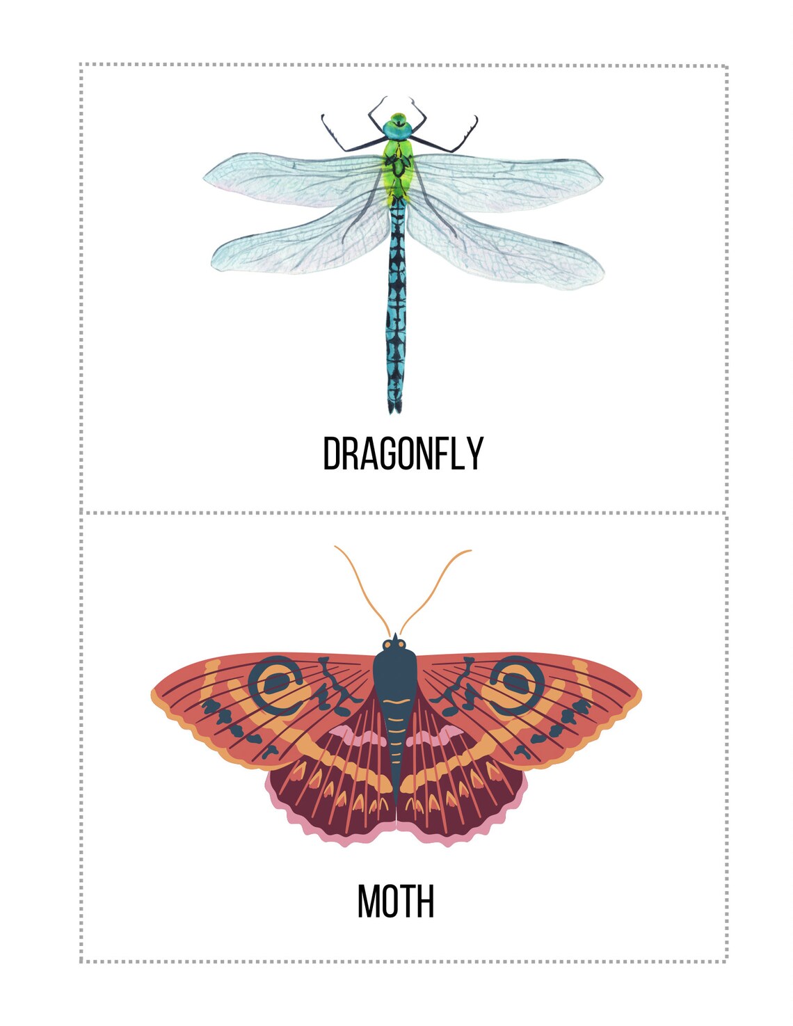 Insect Scavenger Hunt Printable Game Treasure Hunt Digital - Etsy Canada