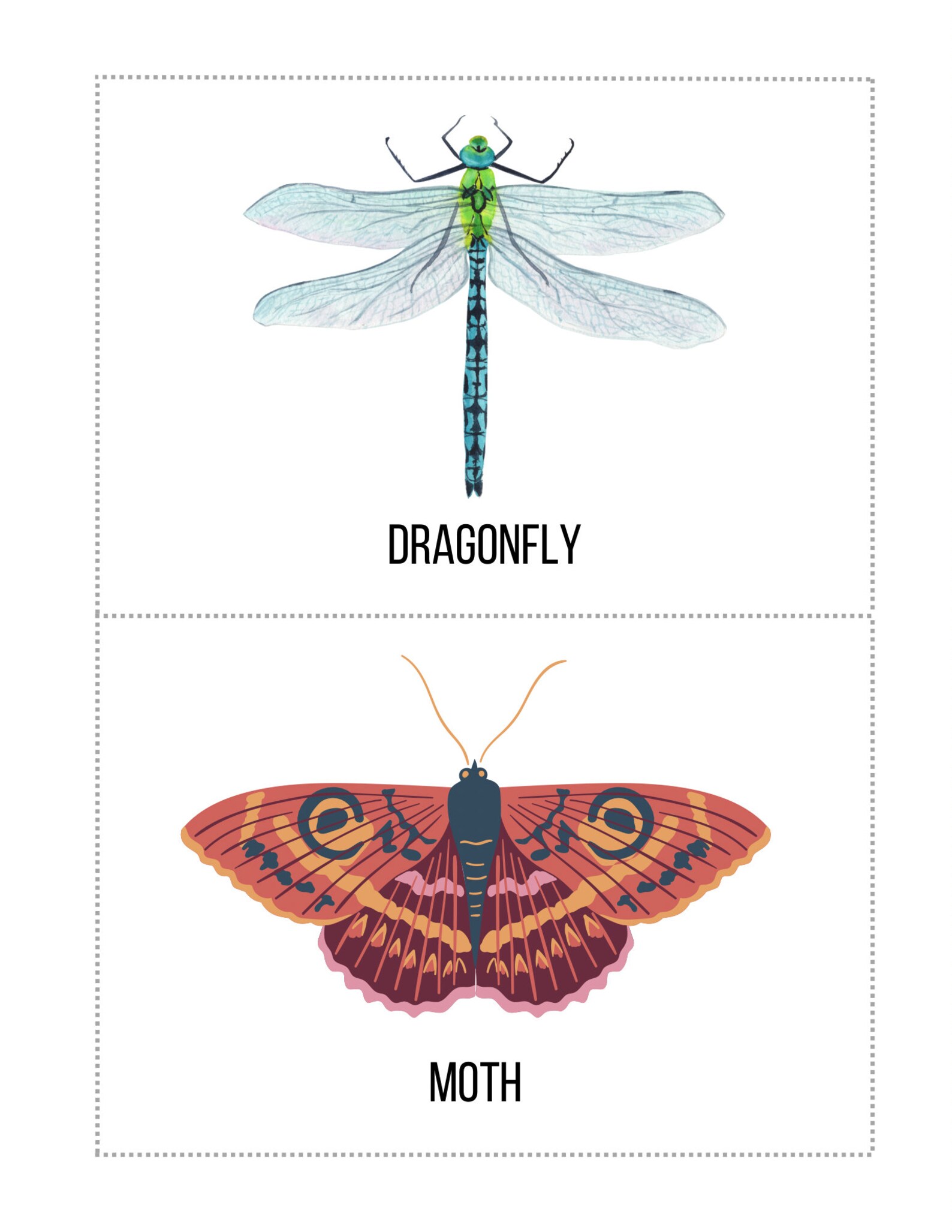 Insect Scavenger Hunt, Printable Game, Treasure Hunt, Digital Download ...