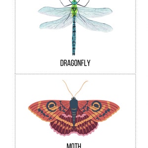 Insect Scavenger Hunt, Printable Game, Treasure Hunt, Digital Download ...