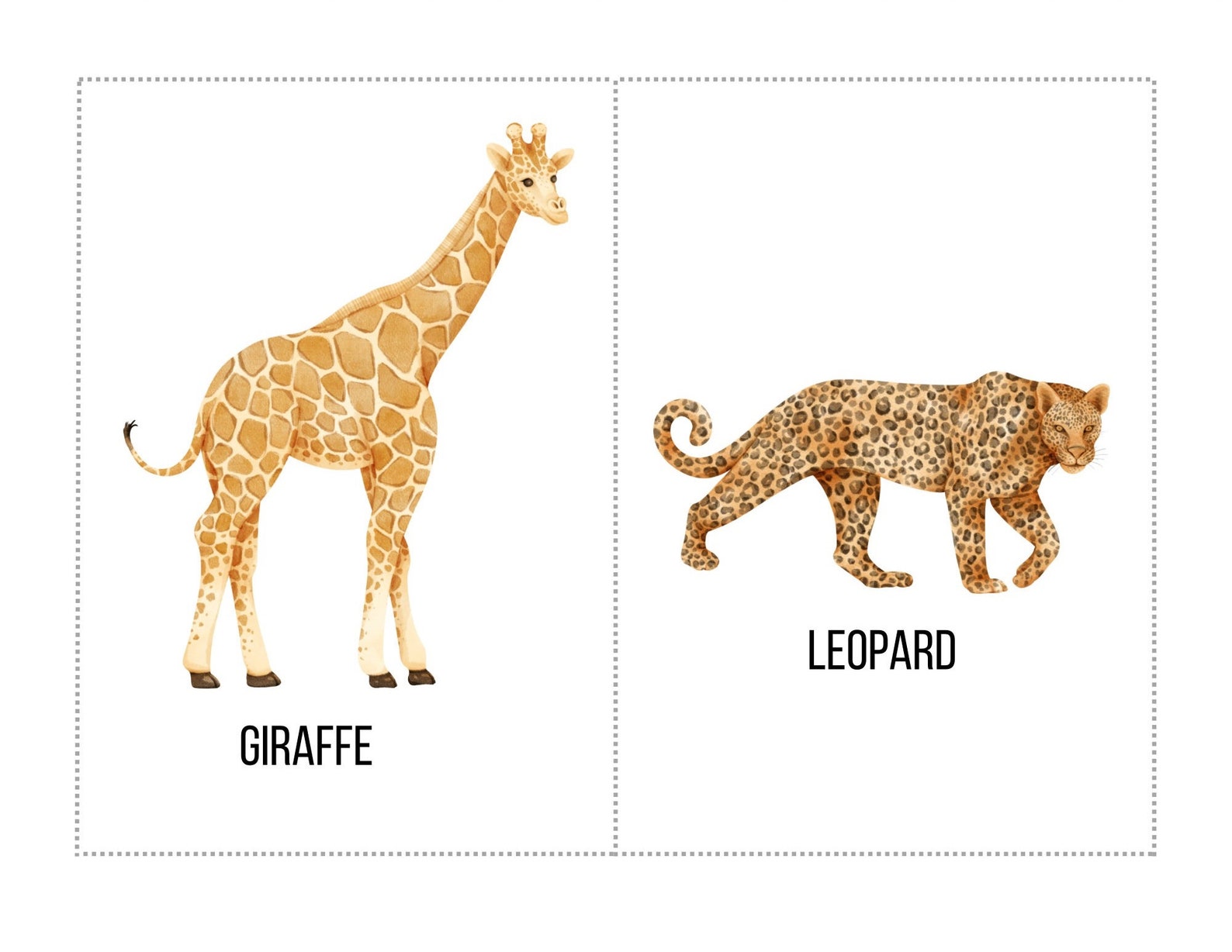 African Safari Scavenger Hunt, Birthday Game, Classroom Activity ...