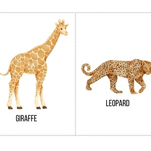 African Safari Scavenger Hunt, Birthday Game, Classroom Activity ...