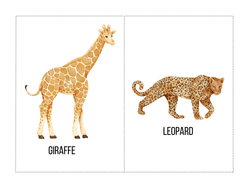 African Safari Scavenger Hunt, Birthday Game, Classroom Activity ...