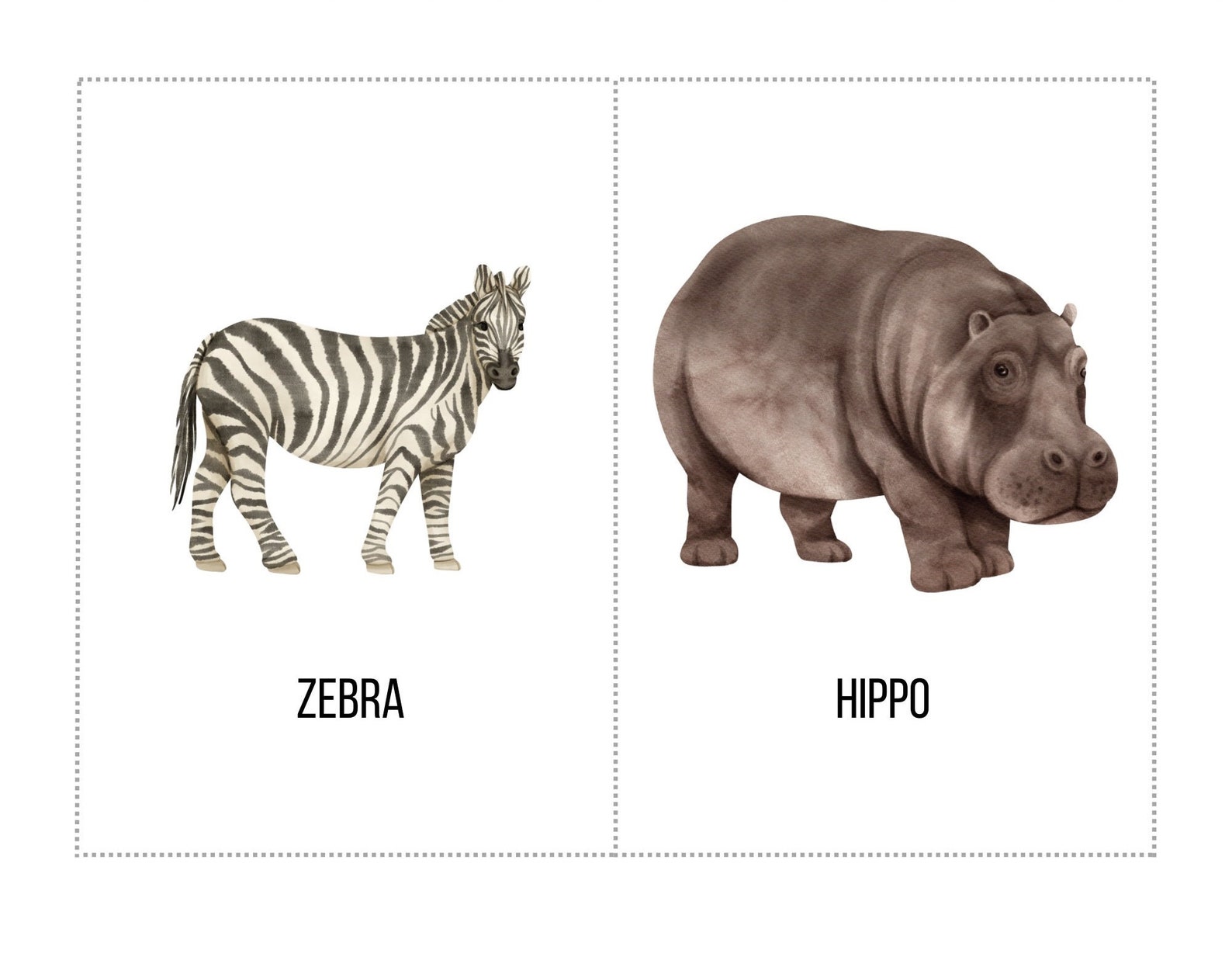 African Safari Scavenger Hunt, Birthday Game, Classroom Activity ...