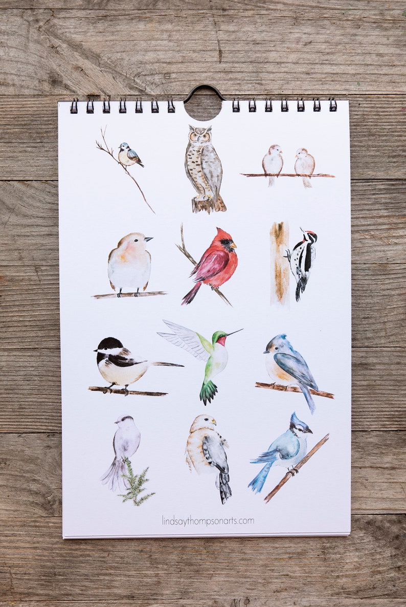 Perpetual Calendar With Bird Watercolour Paintings - Etsy