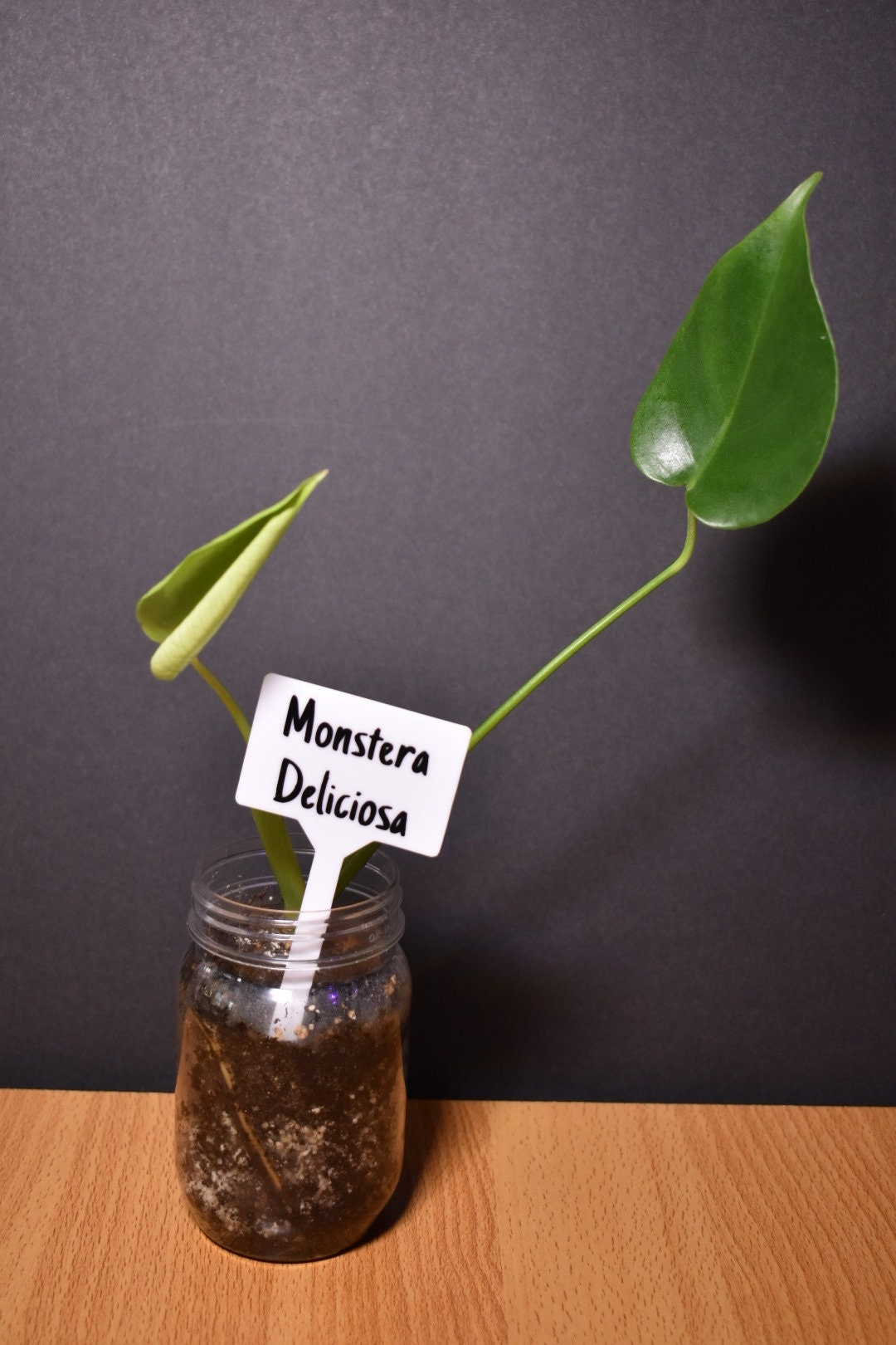 Custom Waterproof Plant Labels - Etsy