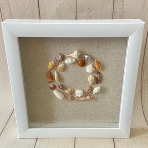 8x8 Mini Seashells Shadow Box - Etsy