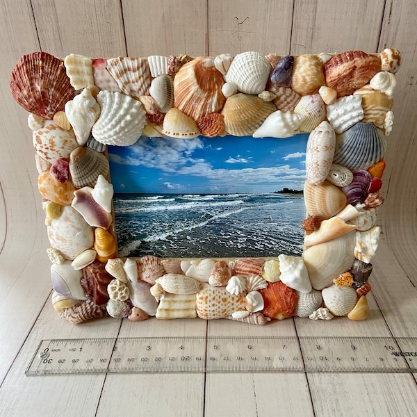 Seashell Frame - Etsy