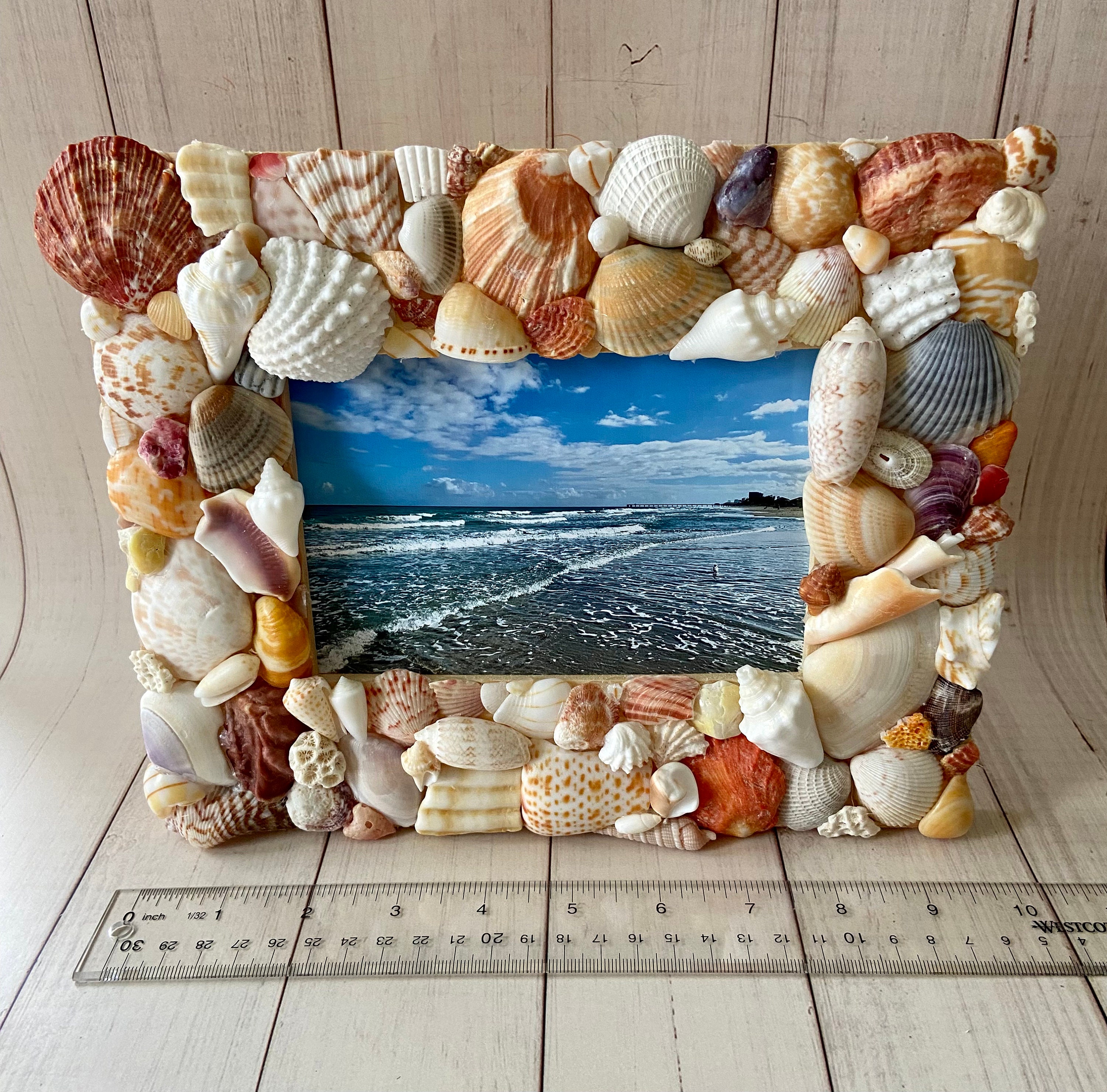Seashell Collage Photo Frame - Etsy