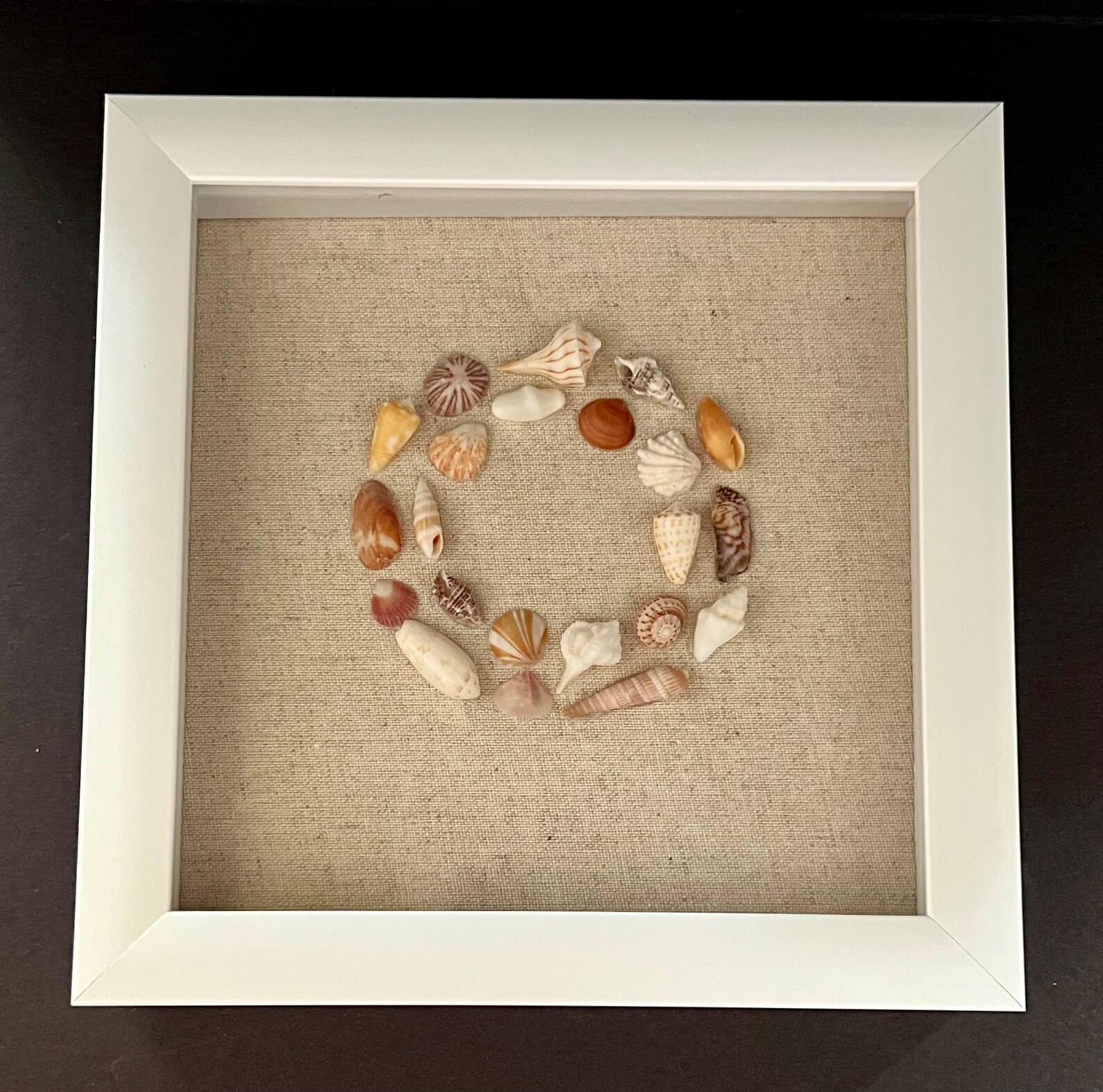 8x8 Mini Seashells Shadow Box - Etsy