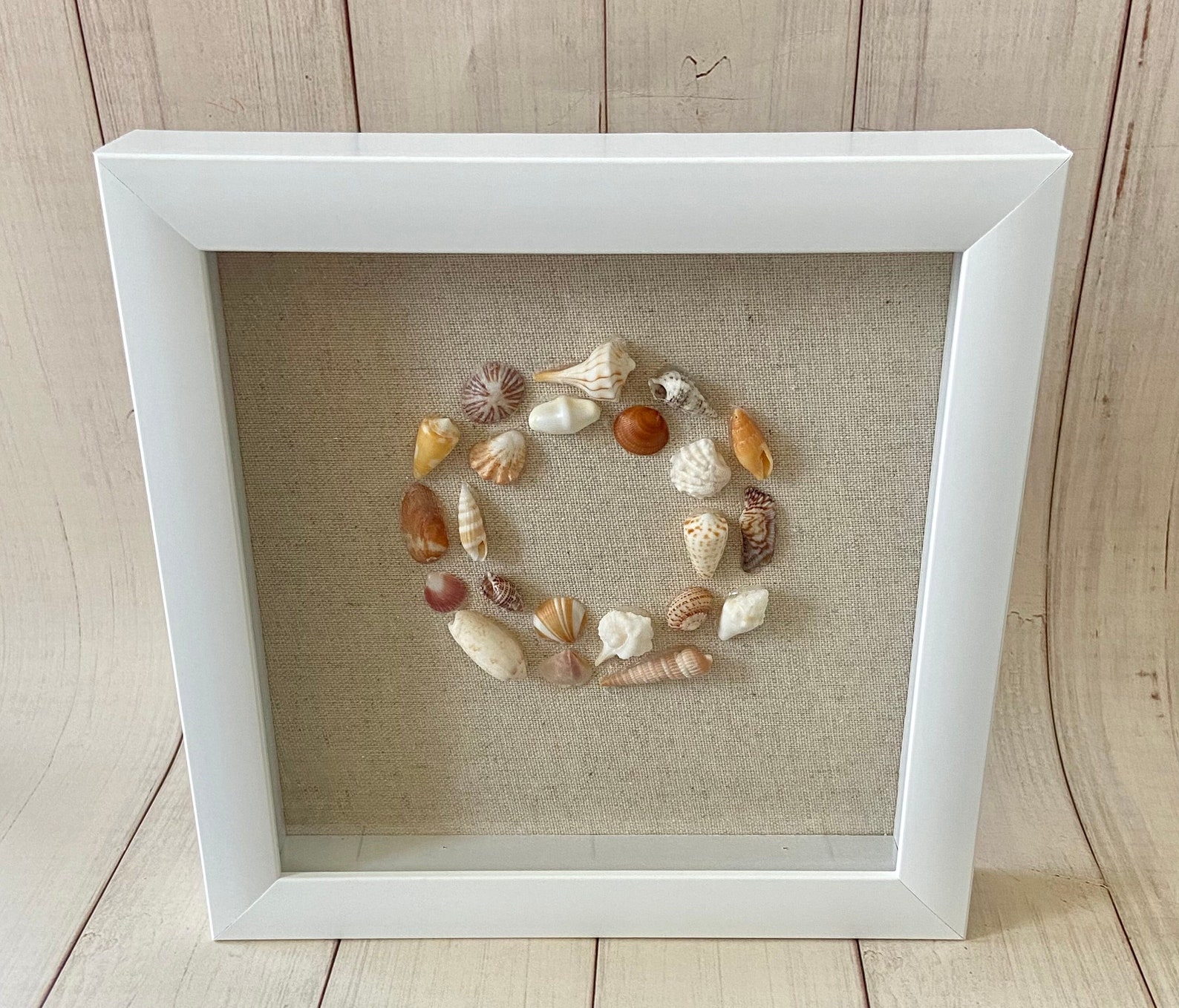 8x8 Mini Seashells Shadow Box - Etsy