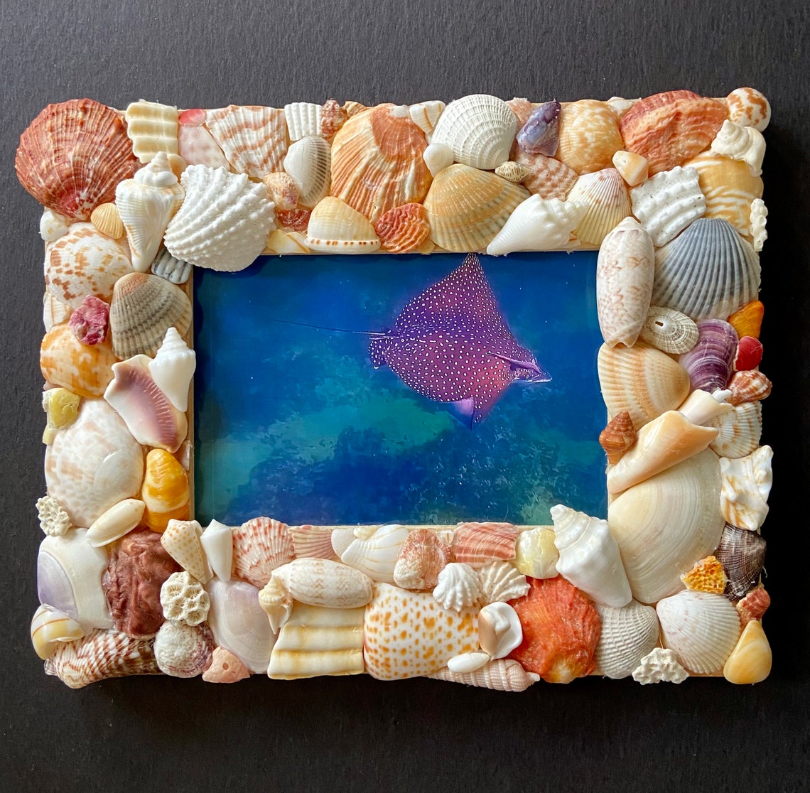 Seashell Collage Photo Frame - Etsy