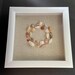 8x8 Mini Seashells Shadow Box - Etsy