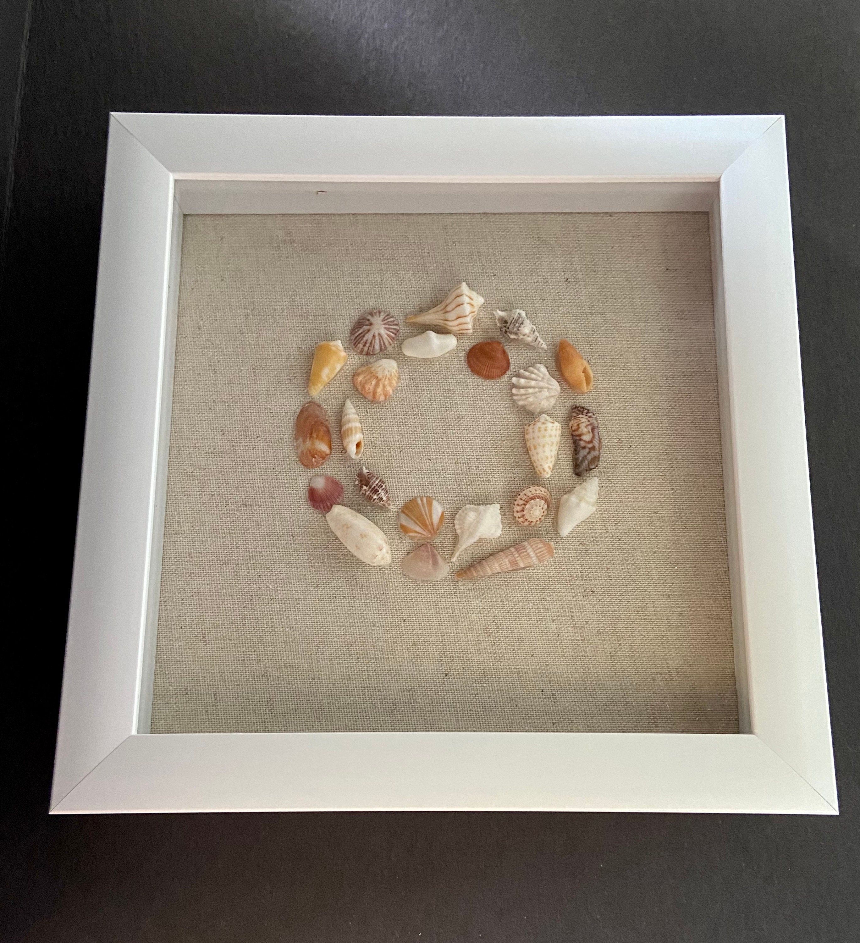 8x8 Mini Seashells Shadow Box - Etsy