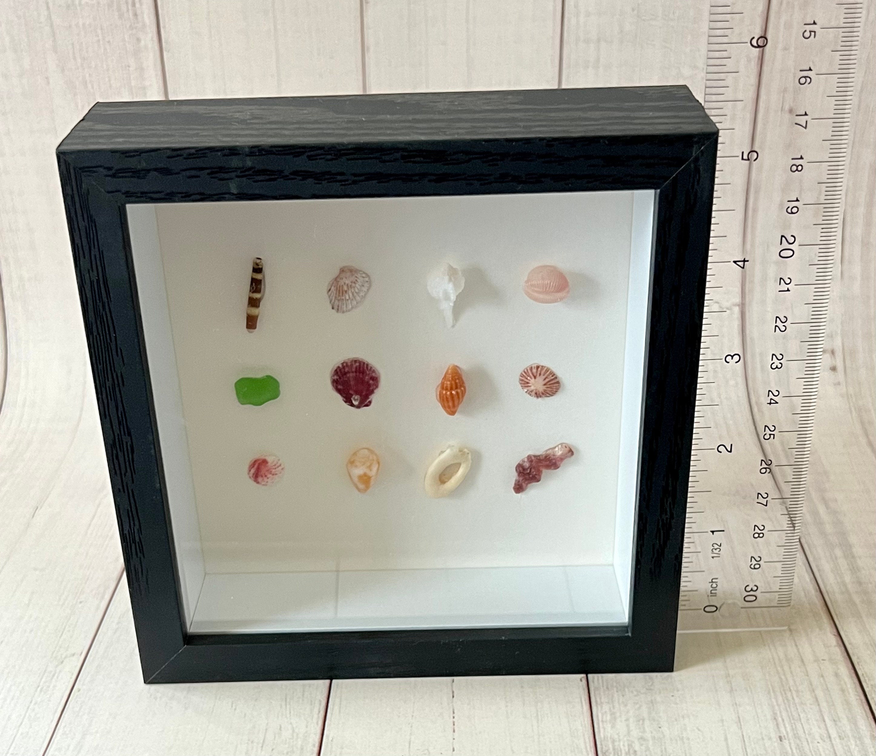 Mini Shells and Sea Treasures Shadow Box - Etsy