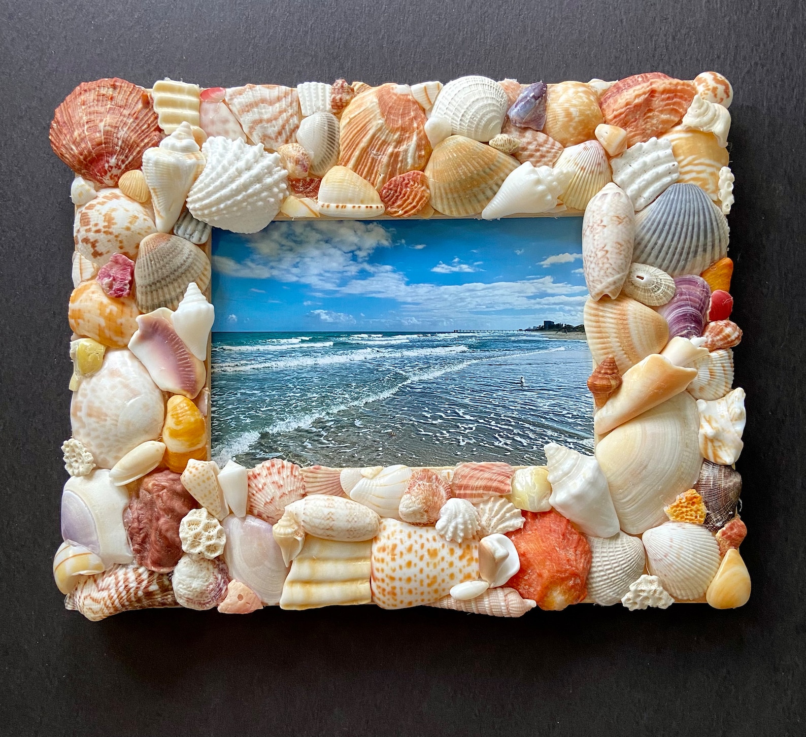 Seashell Collage Photo Frame - Etsy