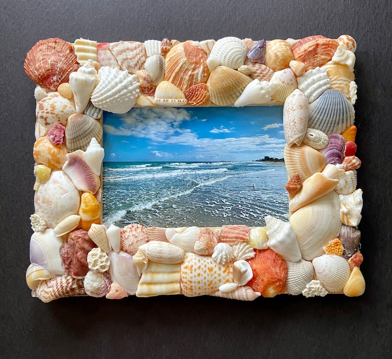 Seashell Collage Photo Frame - Etsy