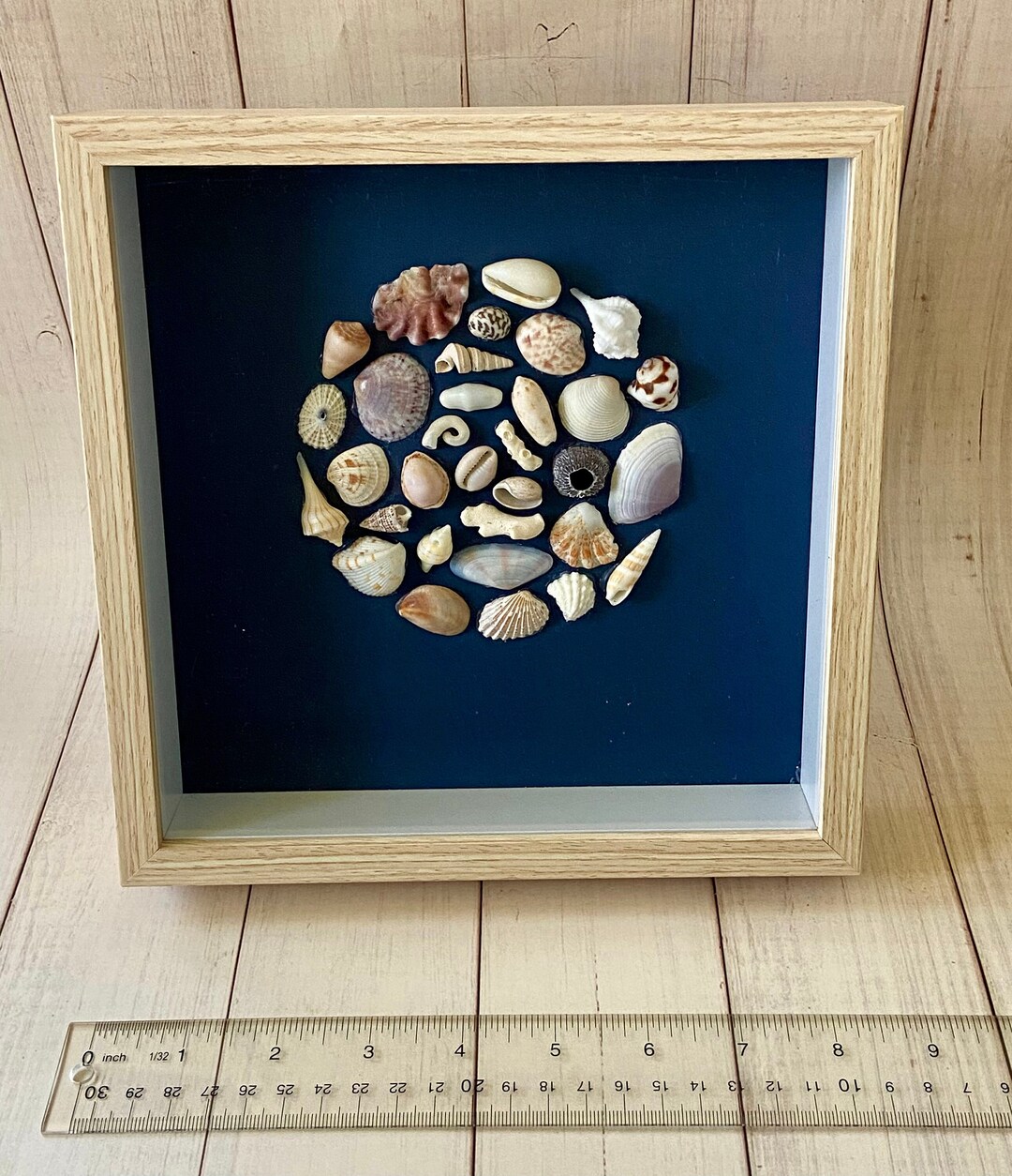 Mini Seashells Shadow Box - Etsy