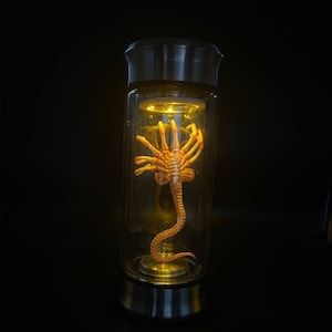 USA Alien in a Test Tube Embryo Glass Jar Prop Led Light Red Green Blue ...