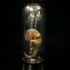 USA Dinosaur Embryo Jurassic in Jar Test Tube Led Bottle Prop - Etsy