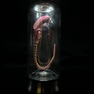 USA Alien in a Test Tube Embryo Glass Jar Prop Led Light Red Green Blue ...