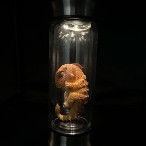USA Dinosaur Embryo Jurassic in Jar Test Tube Led Bottle Prop - Etsy