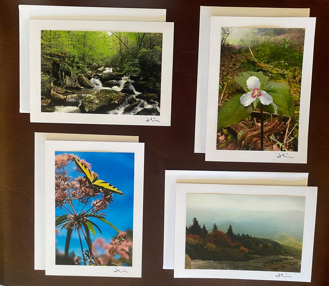 Blank Nature Note Cards - Etsy