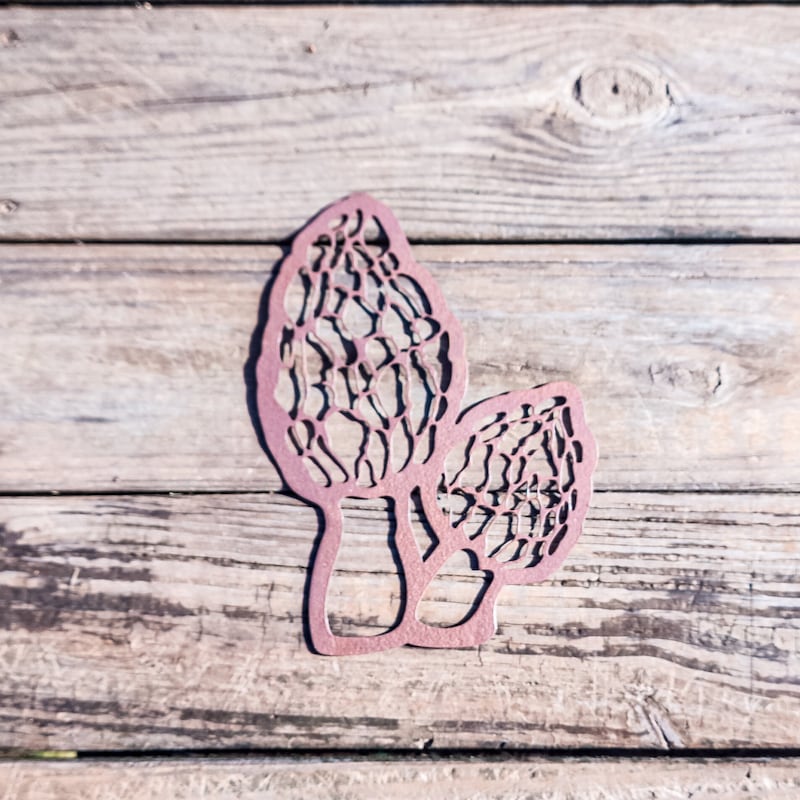 Morel Mushrooms - Etsy