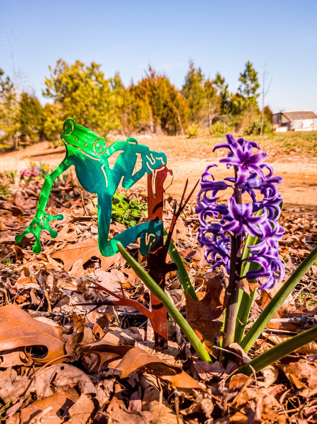 Frog 6 Gargen Decor Spring Dxf/svg - Brightnite Metalworx Digital ...