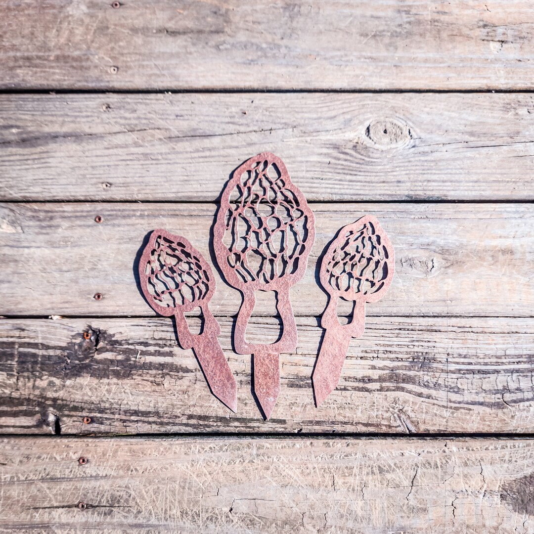 Morel Mushroom Yard Stakes Dxf/svg - Brightnite Metalworx Digital ...
